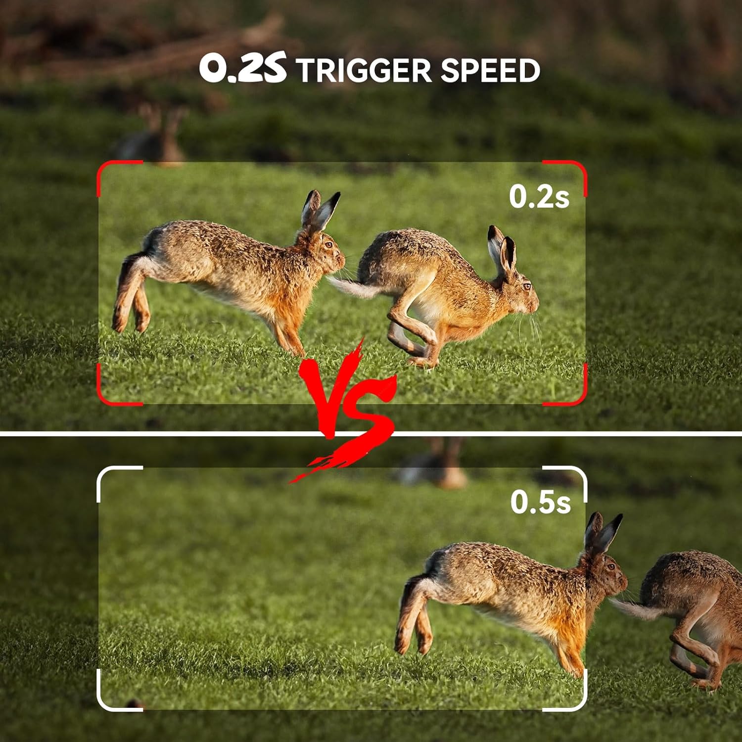 Mivo WildPro – Mivo UK